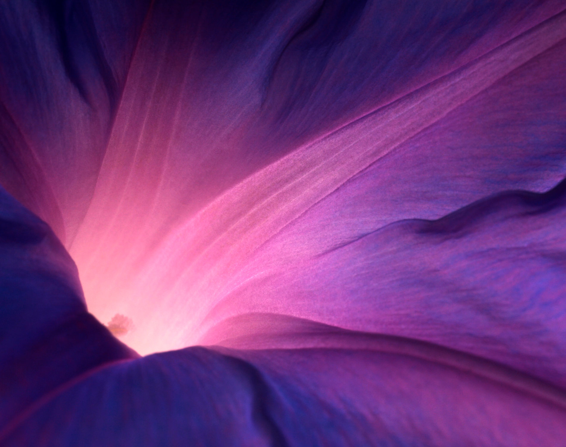 Dentons - Dentons celebrates a quarter century in Romania